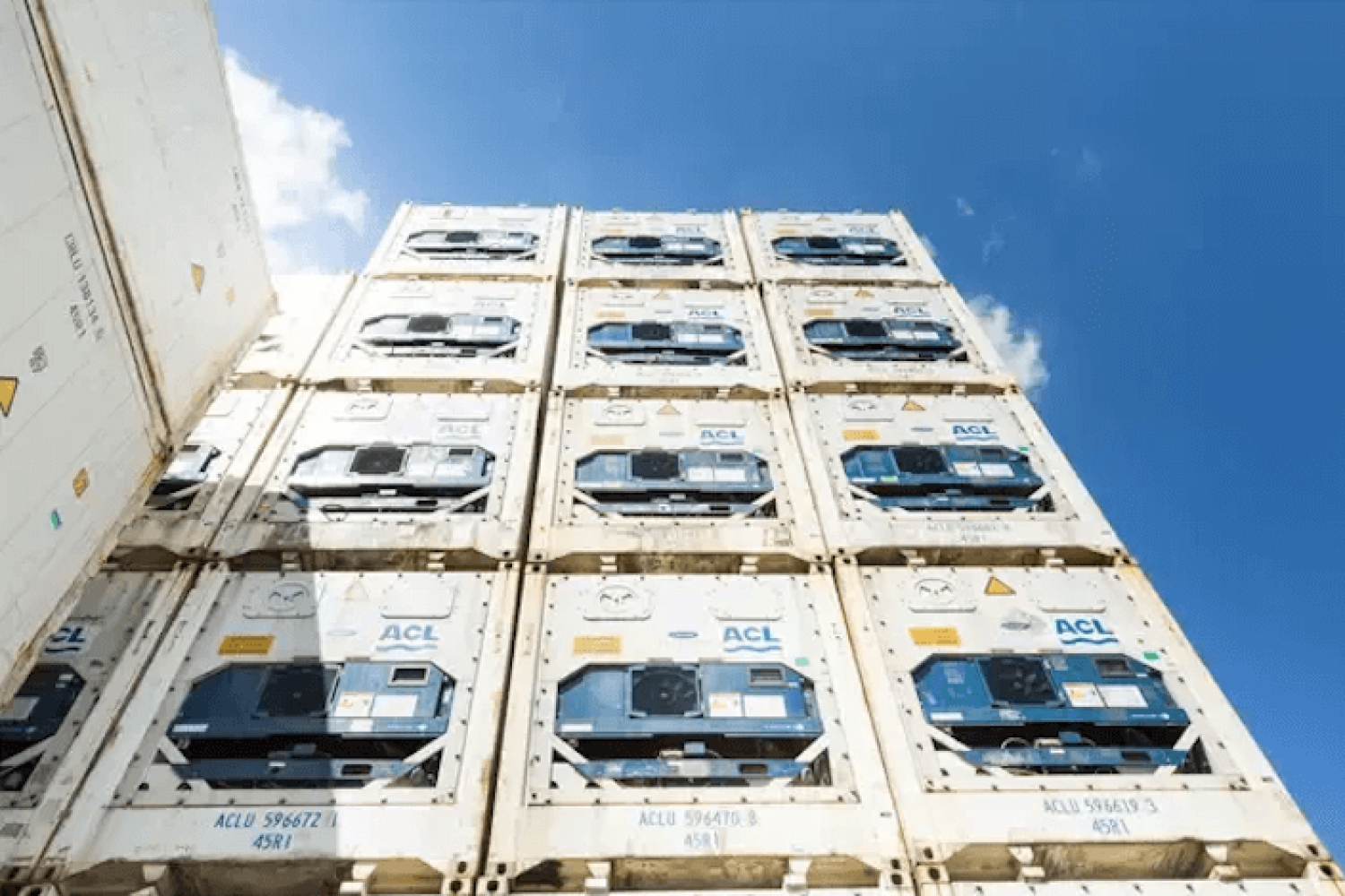 Contenedores Reefer: Funcionamiento y usos - Servicontainers S.A.